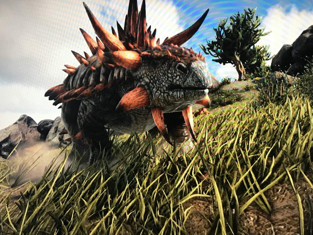 [Top 5] Ark Survival Evolved Best Dinos For Flint | Gamers Decide