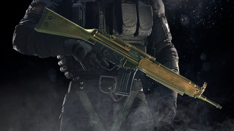 [Top 15] Rainbow 6 Siege Best Universal Weapon Skins That Look Awesome ...