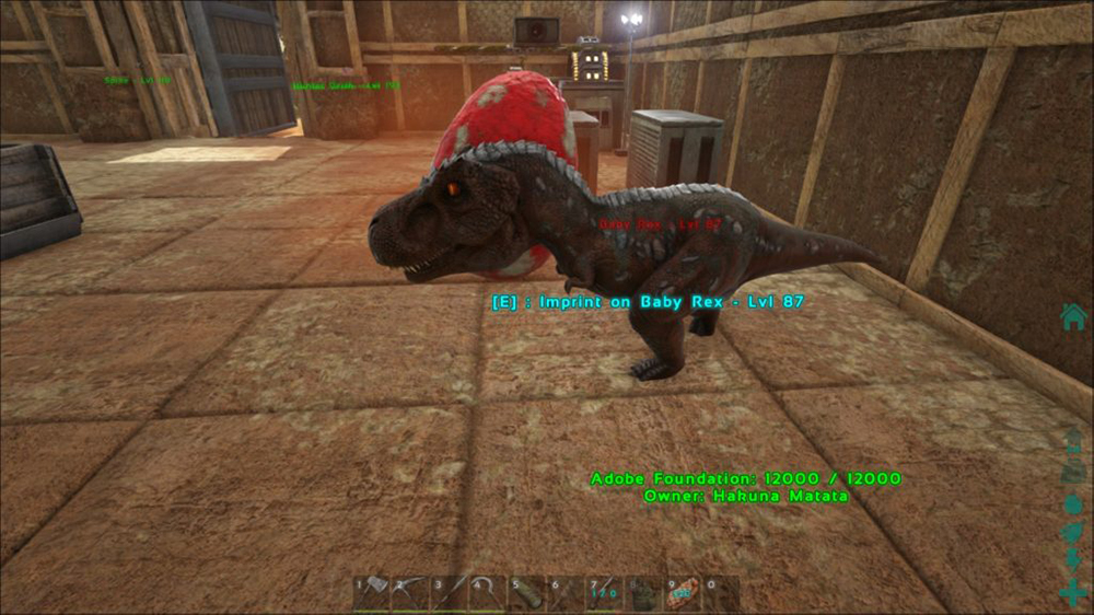 25 Best Ark Survival Evolved Settings That Give You An Advantage ...