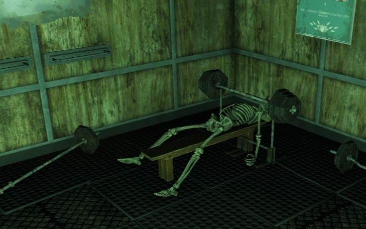 [Top 10] Fallout 76 Most Valuable Resource | Gamers Decide