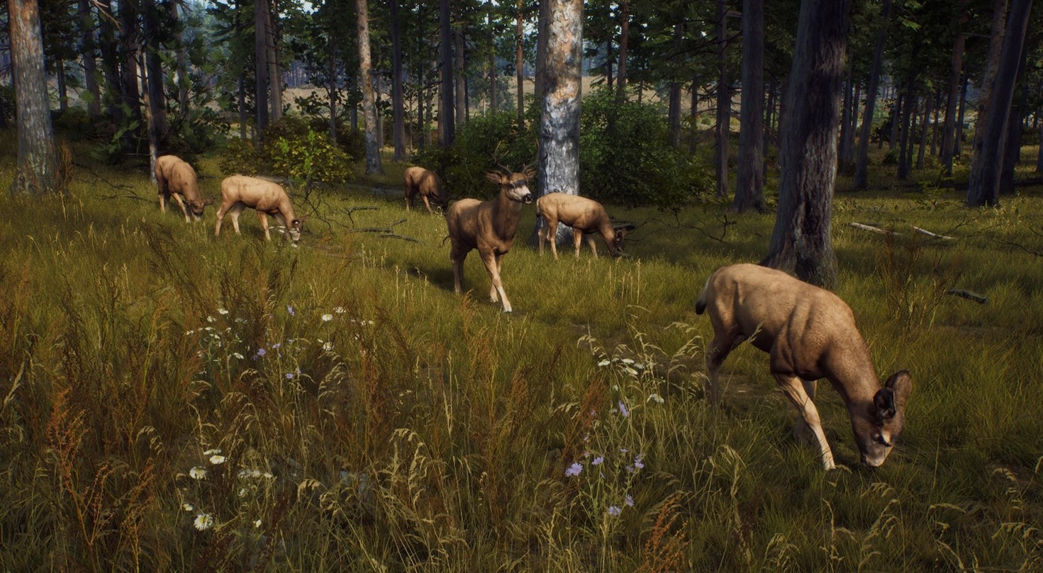 'Way of the Hunter' Hunting Simulation Game Brings The Wilderness To ...