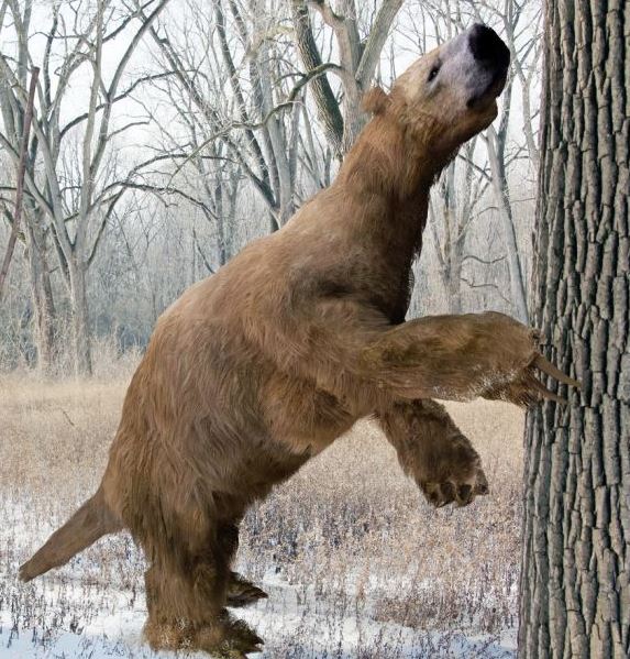 [Top 15] Cryptids That Are Creepy Yet Interesting | Gamers Decide