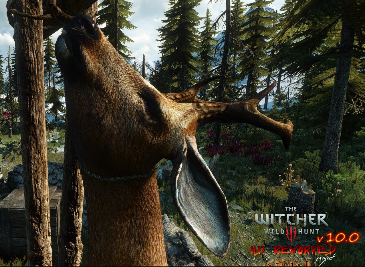 [Top 10] The Witcher 3 Best Graphic Mods That Are Amazing | Gamers Decide