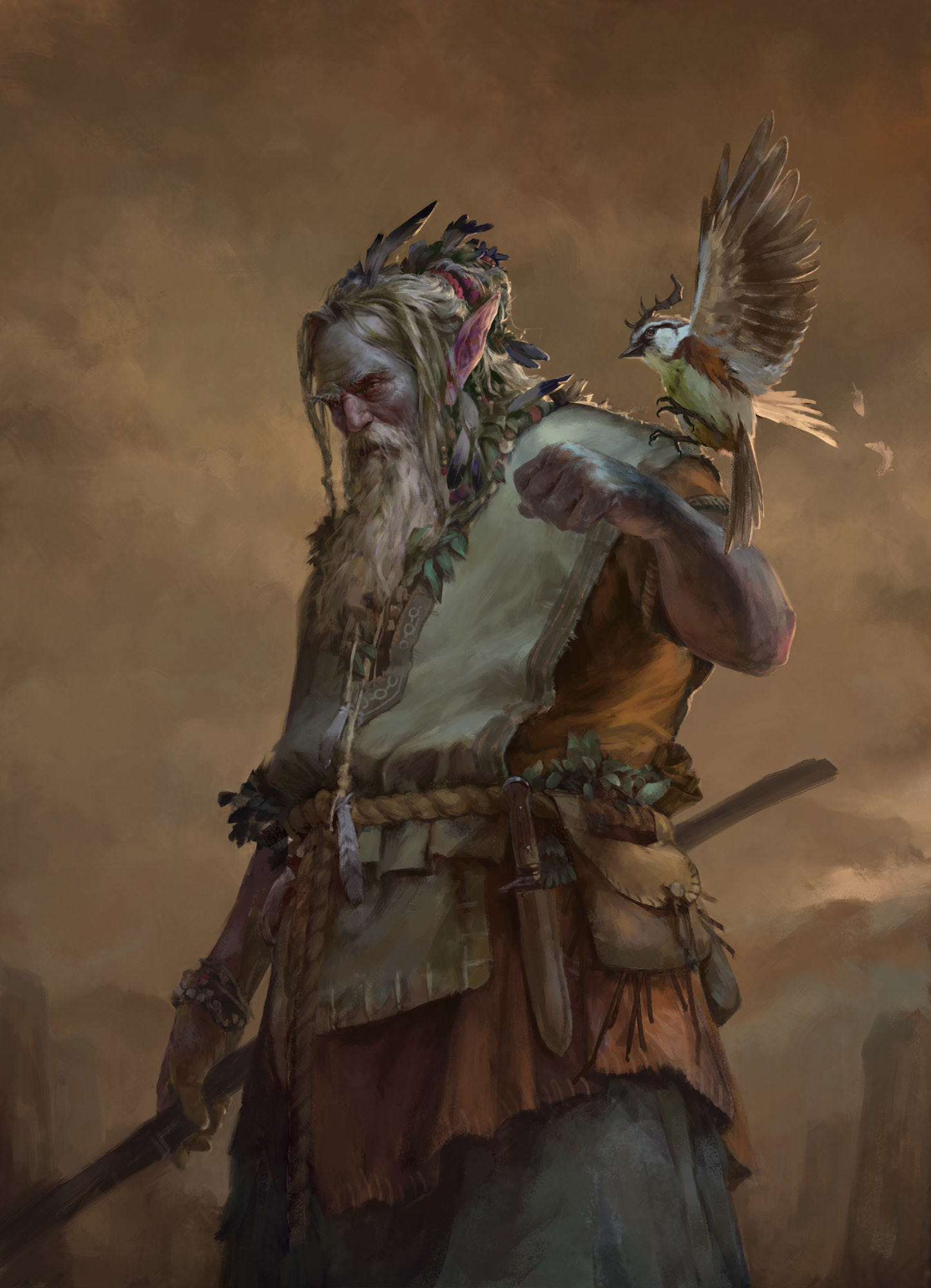 Top 15 D D Best Druid Art GAMERS DECIDE Top 15 D D Best Druid Art GAMERS DECIDE