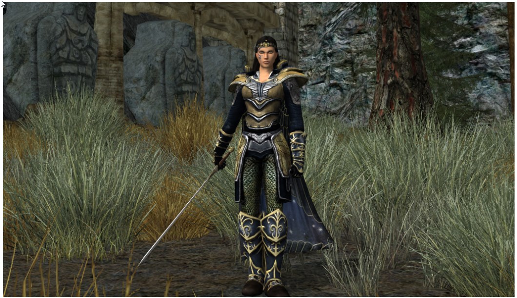  Top 5 LOTRO Best Solo Classes Gamers Decide
