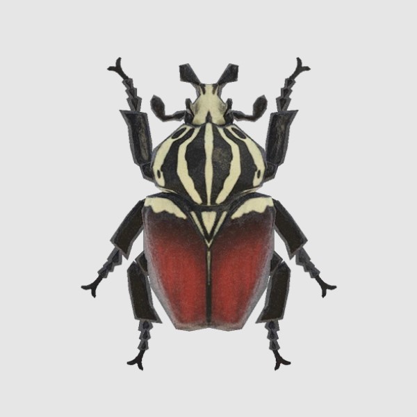 [Top 10] Animal Crossing: New Horizons Best Bugs And How To Get Them ...