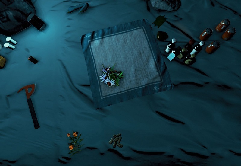 [Top 10] The Forest Best Food (And How To Get Them) | Gamers Decide