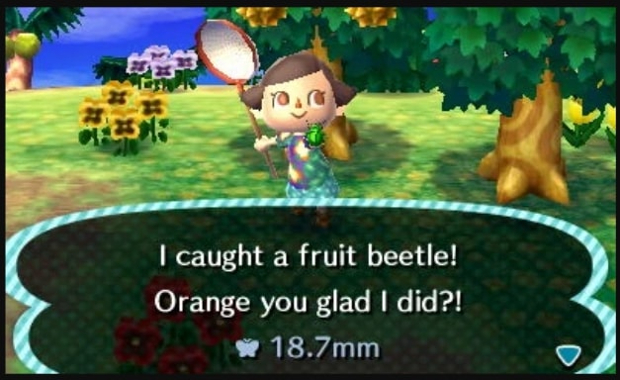 [Top 10] Animal Crossing New Leaf Best Things To Do | Gamers Decide