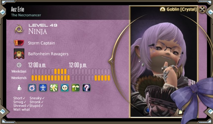 [Top 10] FF14 Best Adventurer Plates | GAMERS DECIDE