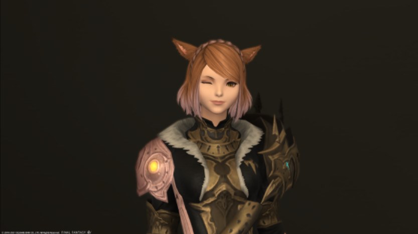 [Top 15] FF14 Best Hairstyles That Look Amazing | GAMERS DECIDE