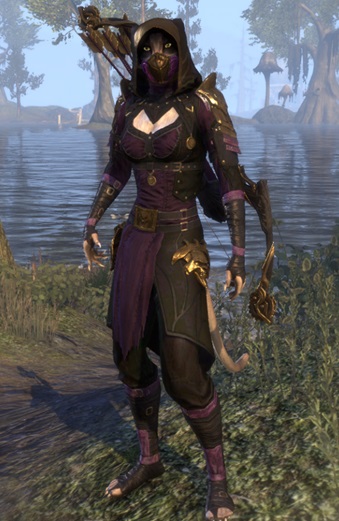 [Top 5] ESO Best Race For Nightblade | Gamers Decide