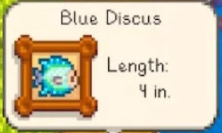 [Top 10] Stardew Valley Best Fish for Pond | Gamers Decide