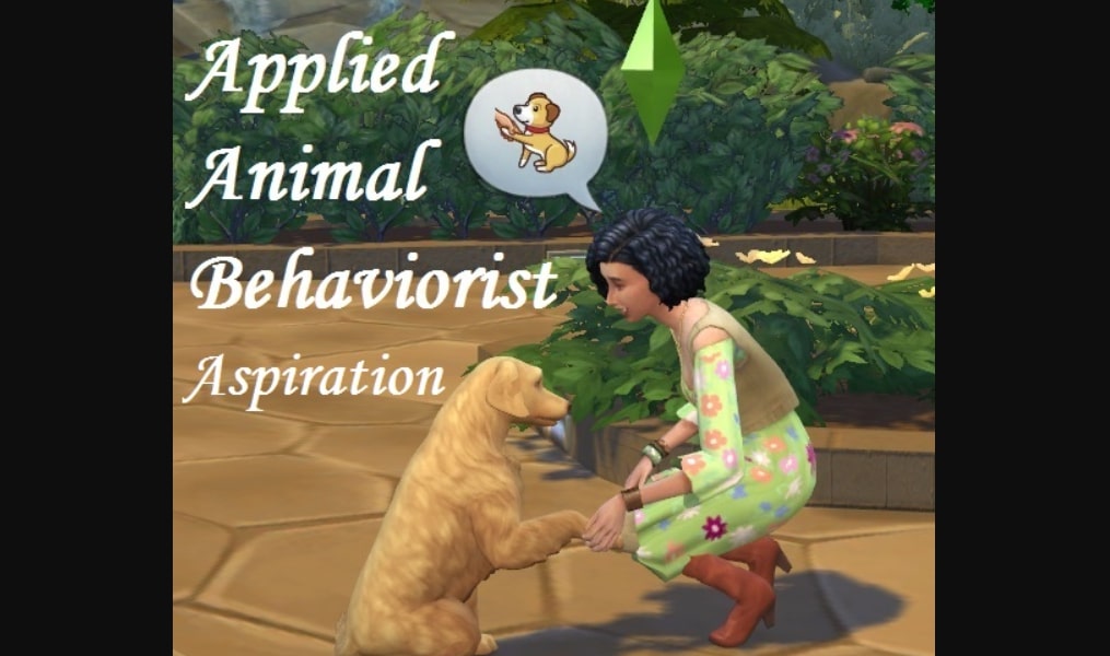 [Top 15] Sims 4 Best Aspiration Mods To Use | GAMERS DECIDE