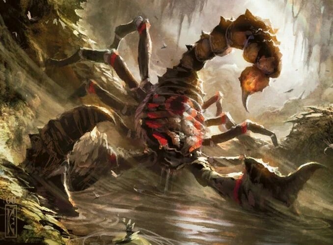 [Top 10] D&D Best Druid Wild Shapes | Gamers Decide