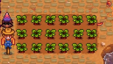 [Top 10] Stardew Valley Best Autumn Crops (Ranked) | Gamers Decide