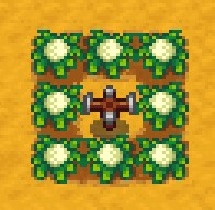 [Top 10] Stardew Valley Best Spring Crops (Ranked) | Gamers Decide