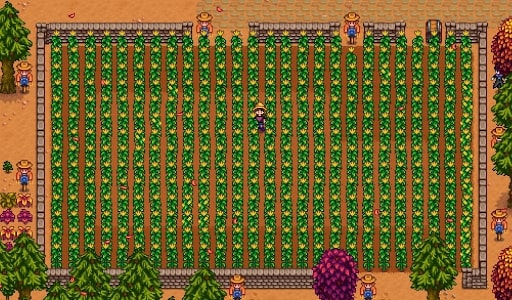 [Top 15] Stardew Valley Best Greenhouse Crops (And Why They're Great ...