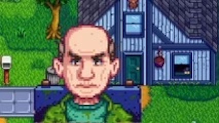 [Top 15] Stardew Valley Best NPCs To Befriend Early | Gamers Decide