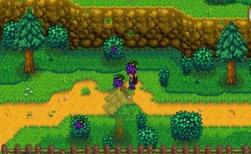 [Top 10] Best Stardew Valley Foraged Items (And Where To Find Them ...