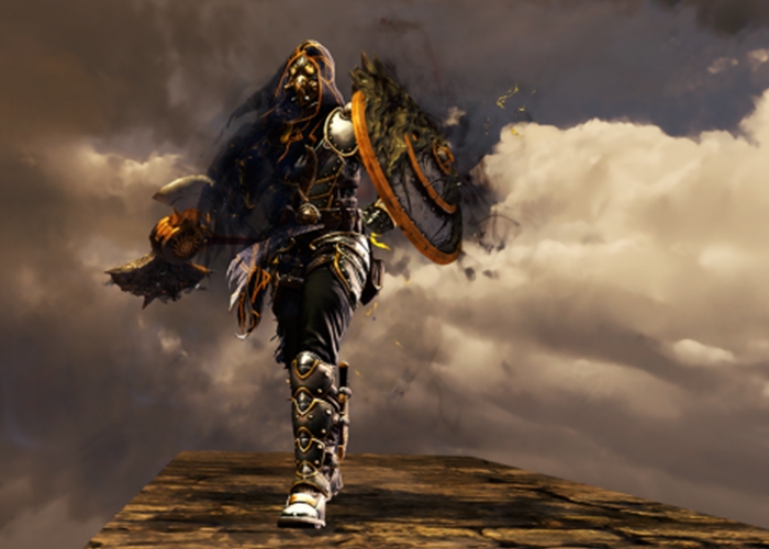 [Top 15] Guild Wars 2 Best Gem Store Items To Buy | Gamers Decide