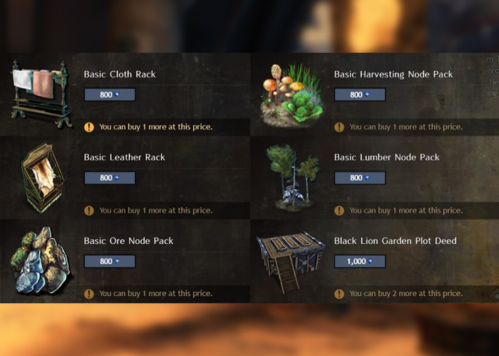 [Top 15] Guild Wars 2 Best Gem Store Items To Buy | Gamers Decide