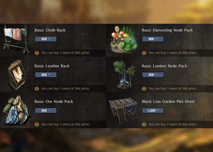 [Top 15] Guild Wars 2 Must Have Gem Store Items | GAMERS DECIDE