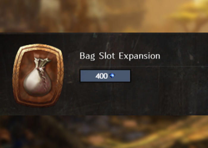 [Top 15] Guild Wars 2 Must Have Gem Store Items | GAMERS DECIDE