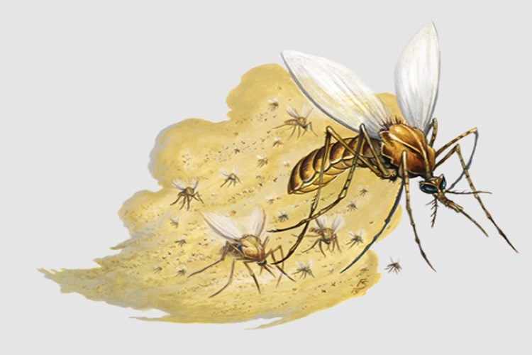 Pathfinder: Top 15 Animals For Adventurers To Fight | Gamers Decide