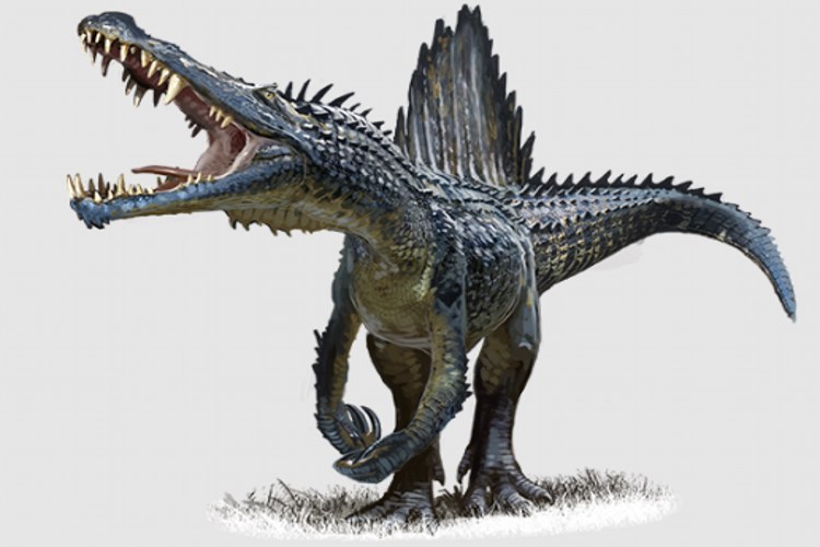 Pathfinder: Top 15 Animals For Adventurers To Fight | Gamers Decide