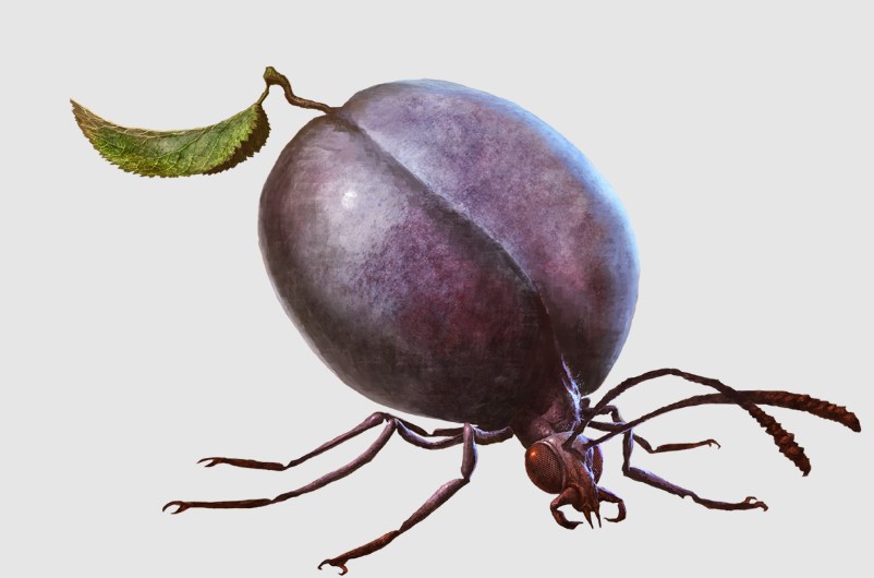 Pathfinder: Top 15 Animals For Adventurers To Fight | Gamers Decide