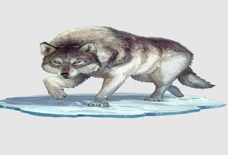 Pathfinder: Top 15 Animals For Adventurers To Fight | Gamers Decide