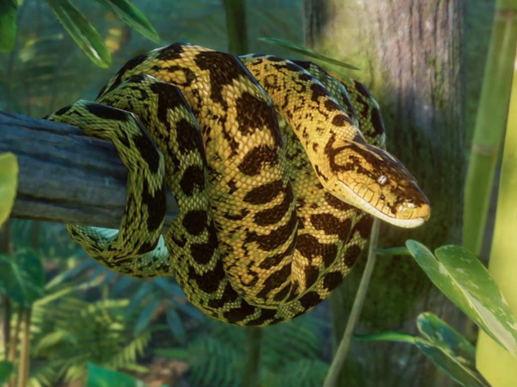 [Top 10] Planet Zoo Best Exhibit Animals | Gamers Decide