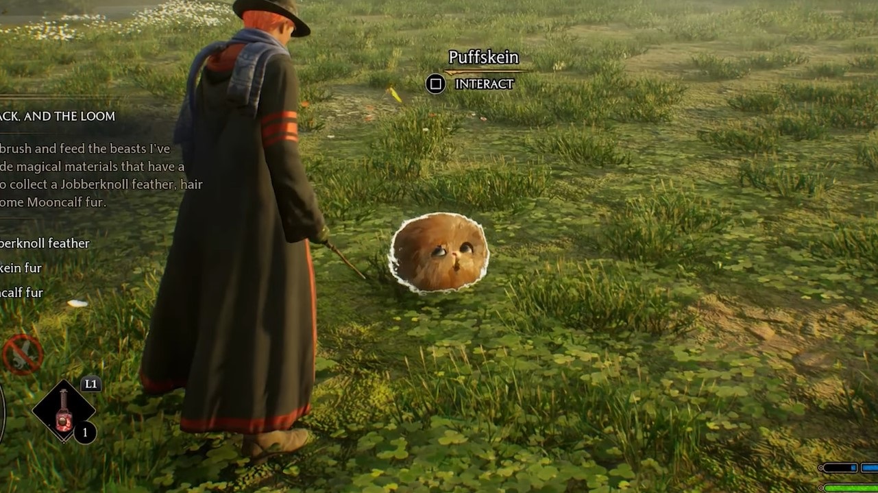 [Top 10] Hogwarts Legacy Best Animals (Ranked) | GAMERS DECIDE