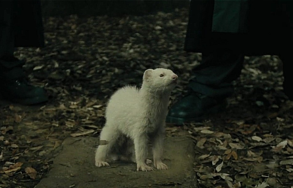 [Top 10] Harry Potter and the Goblet of Fire Best Scenes | Gamers Decide