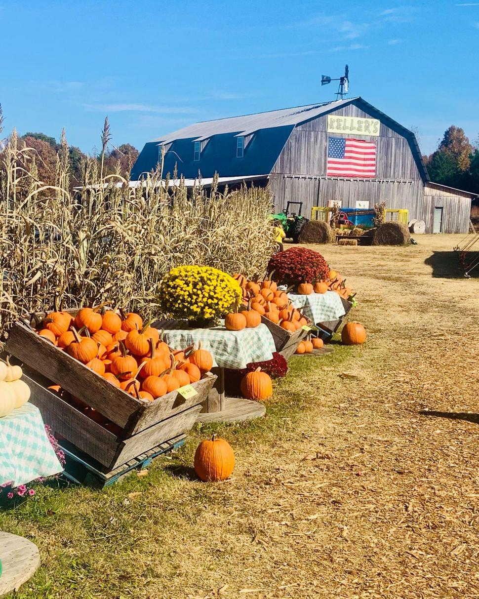 10 Fun Ideas for Celebrating Halloween | GAMERS DECIDE