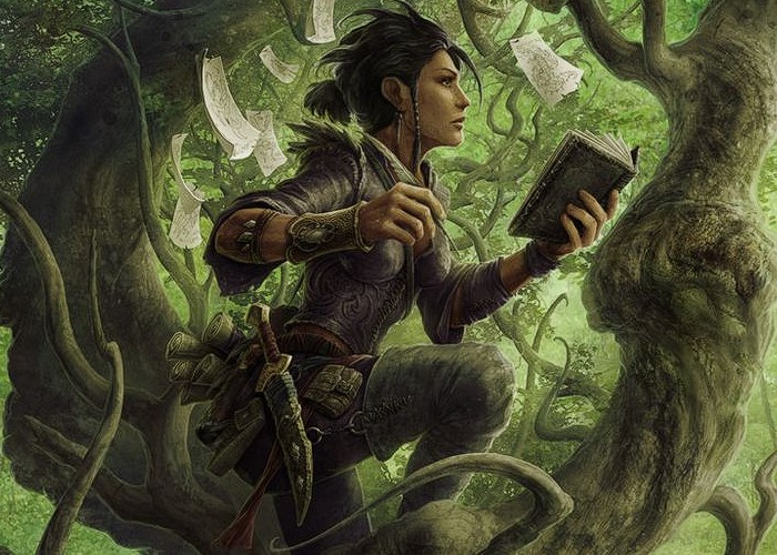 Top 15 D&D Multiclass That Are Fun To Play | Gamers Decide