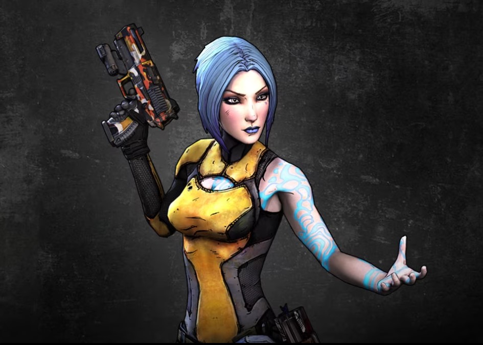 [Top 5] Borderlands 2 Best Solo Characters | Gamers Decide