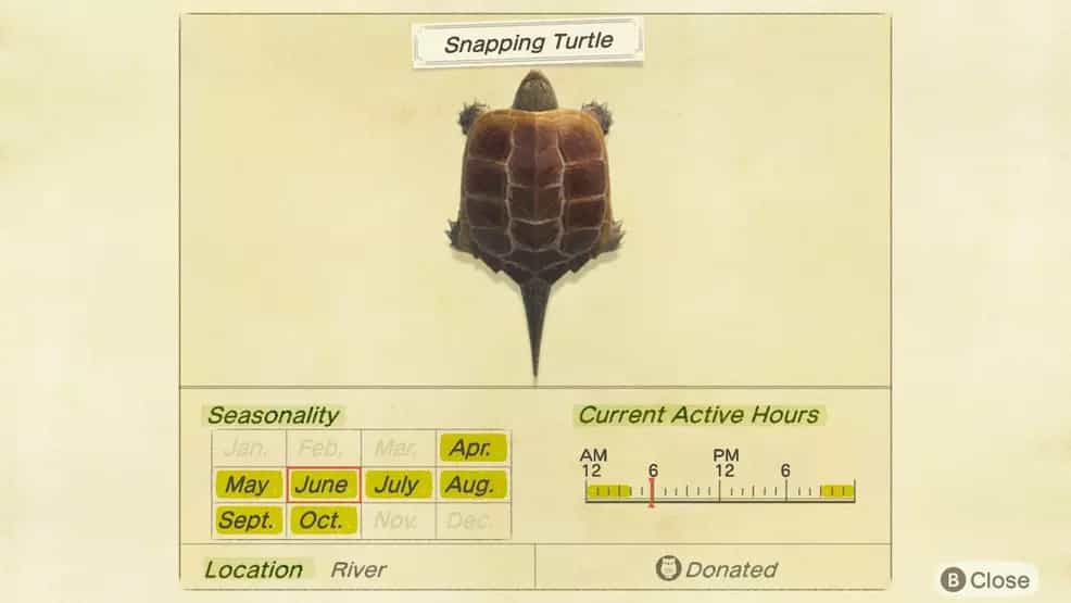 [Top 15] ACNH Best Fish To Catch | Gamers Decide