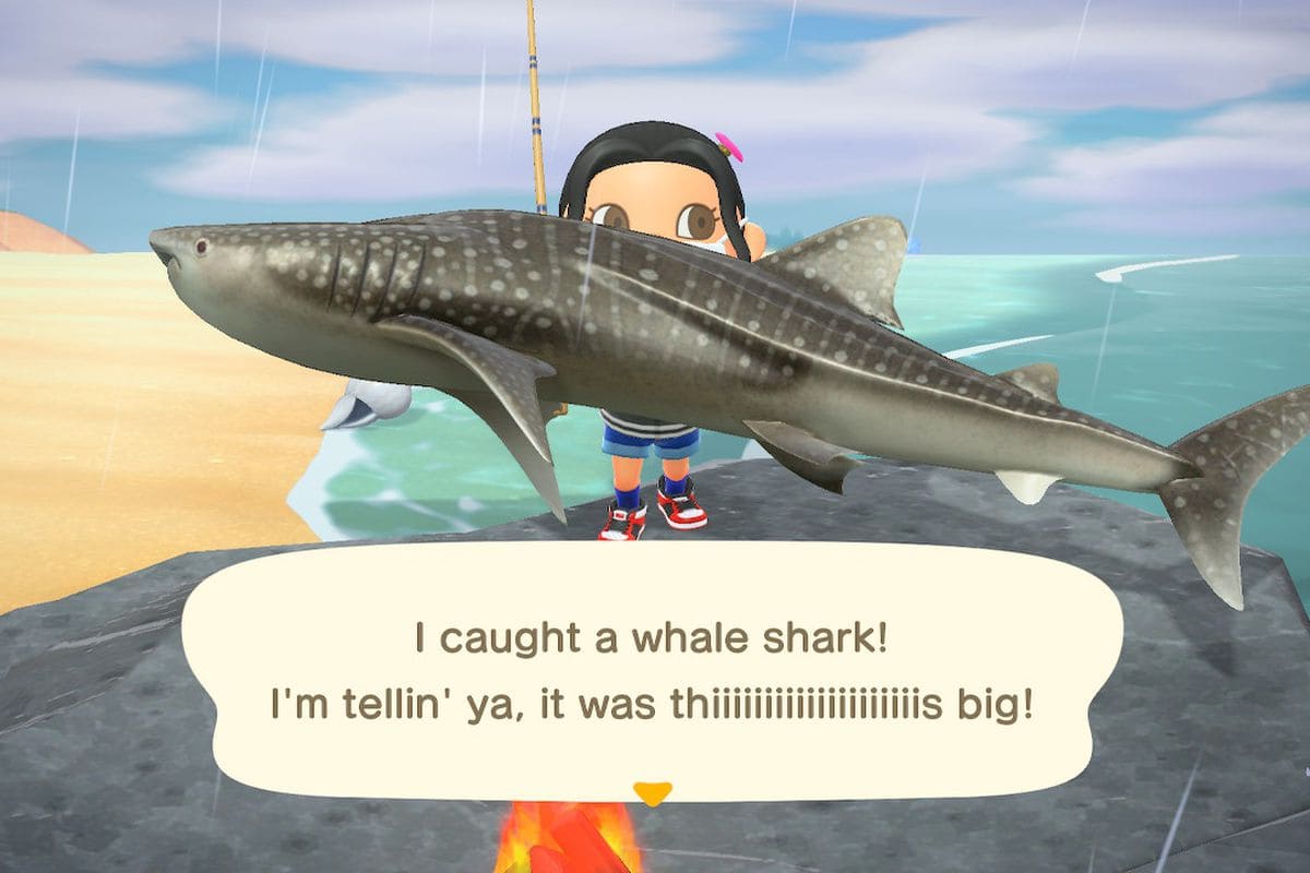 [Top 15] ACNH Best Fish To Catch | Gamers Decide