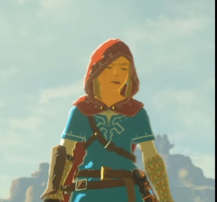 [Top 10] Zelda: Breath of the Wild Best Elixir Recipes | Gamers Decide