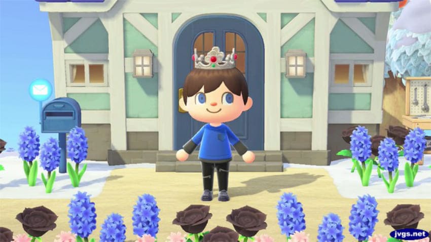 [Top 20] ACNH Best Items In The Game (Ranked) | Gamers Decide