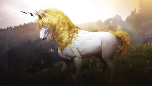 Black Desert Best Dream Horse To Have | GAMERS DECIDE