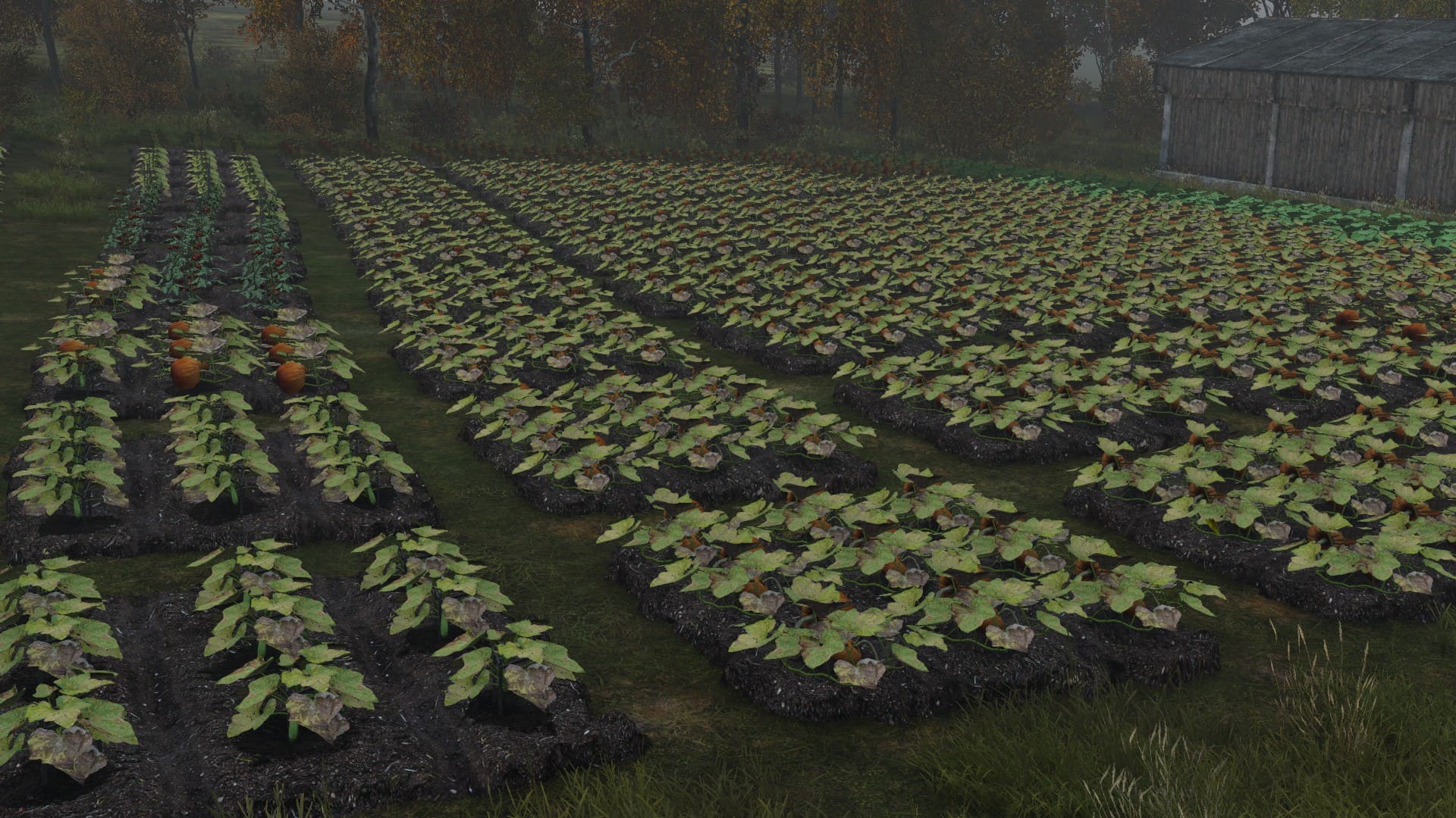 DayZ Gameplay Explained - How Fun Is This Game? | Gamers Decide