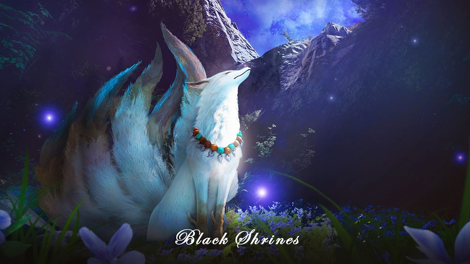 Black Desert Guide – 25 Tips & Tricks | Gamers Decide