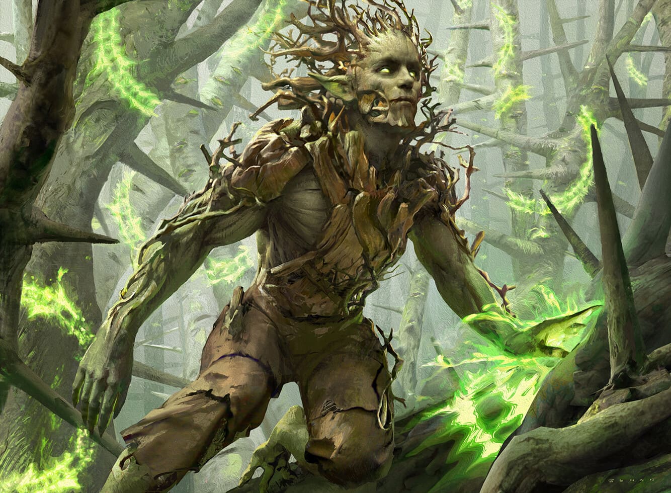 D&D: Best Druid Spells For Every Level | Gamers Decide