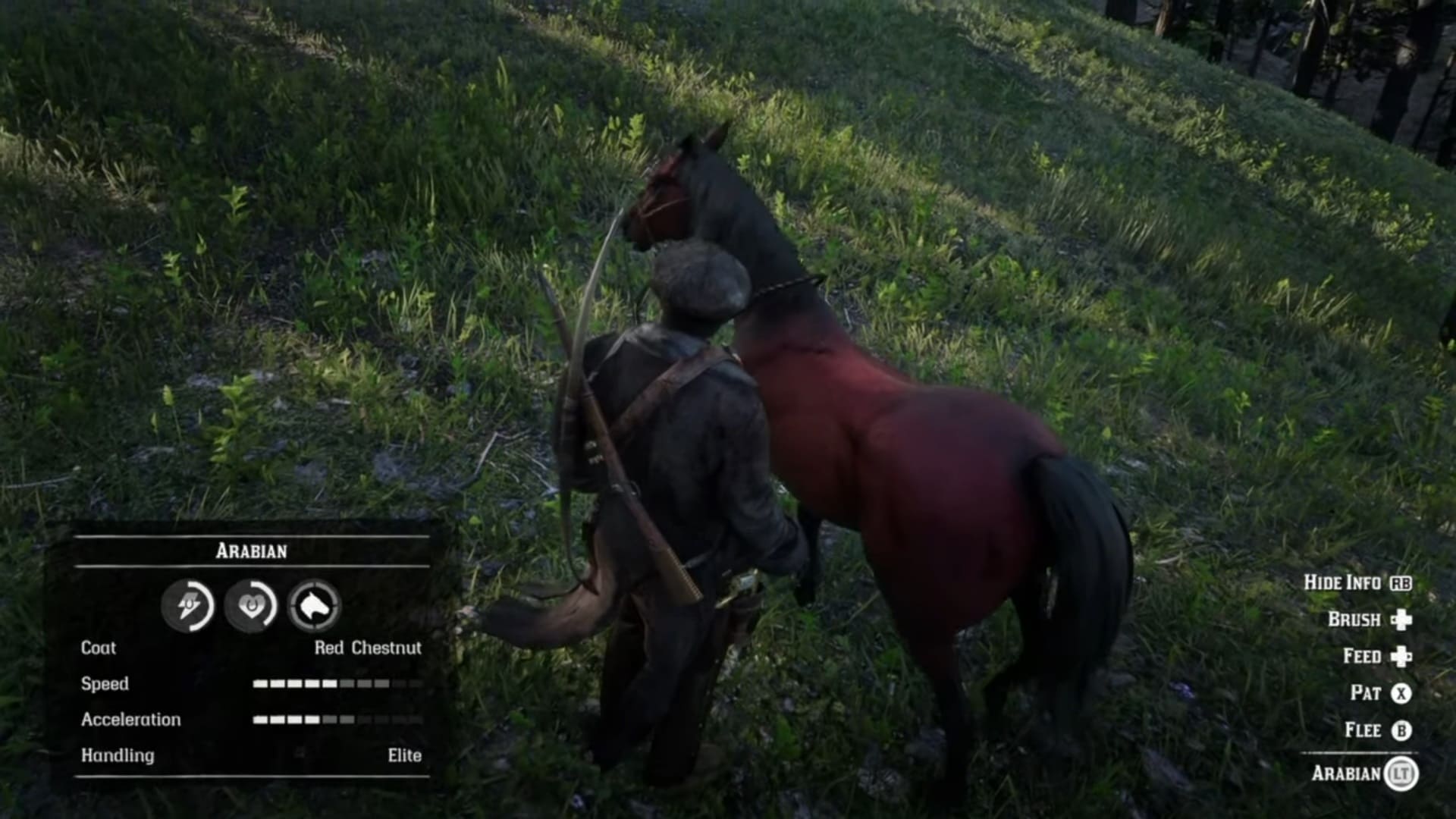 [Top 12] Red Dead Redemption 2 Best Horses (Early To Late Game ...