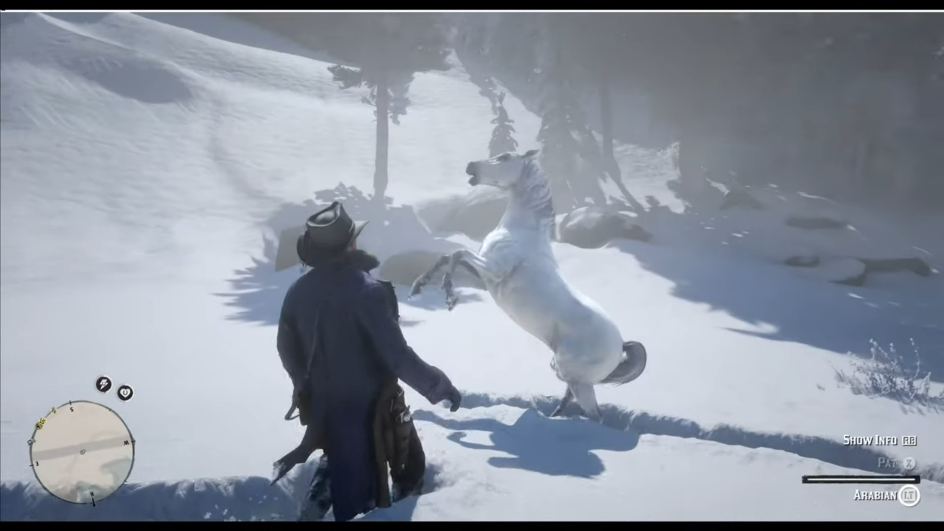 [Top 12] Red Dead Redemption 2 Best Horses (Early To Late Game ...